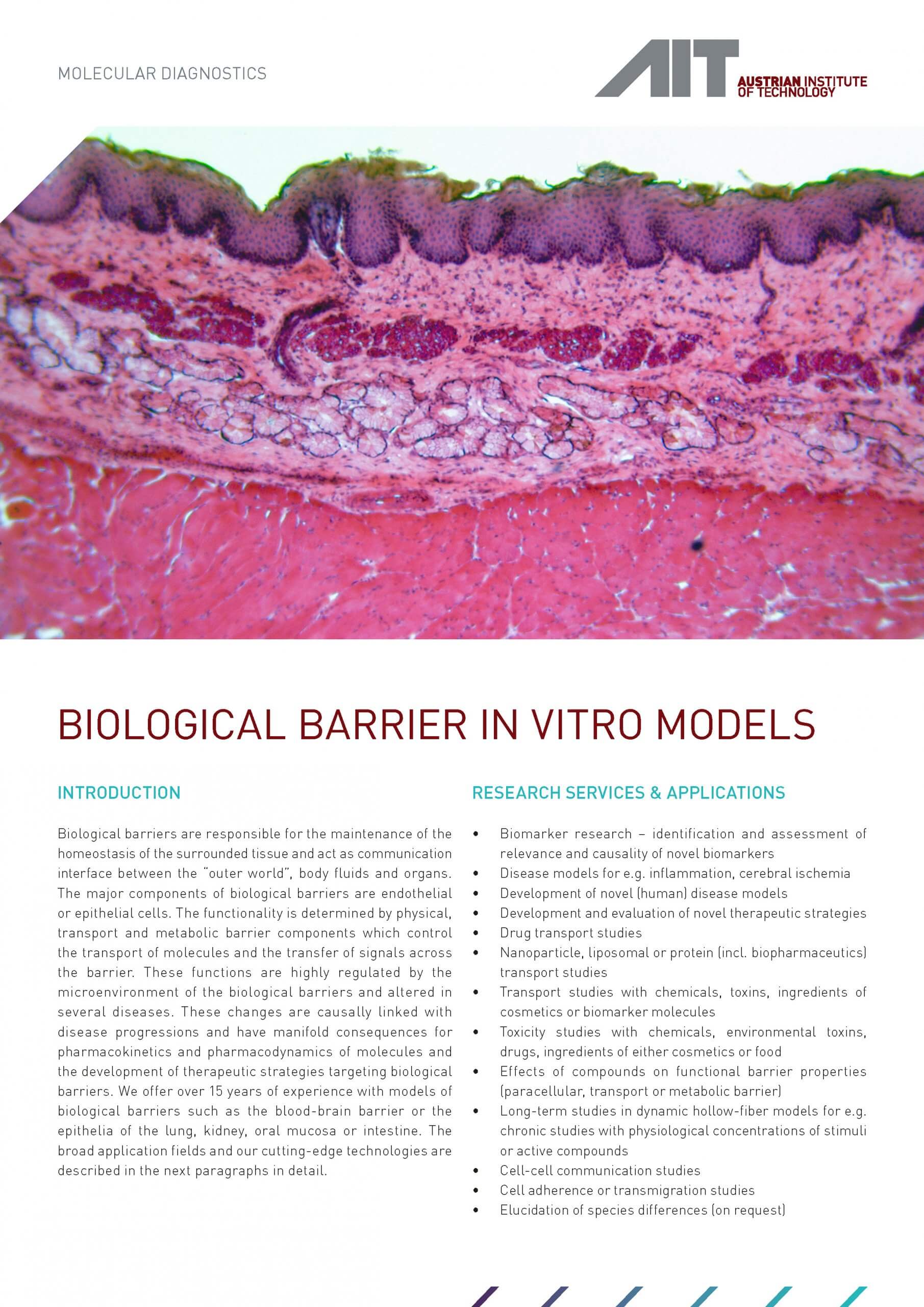 Molecular Diagnostics | Biological Barriers