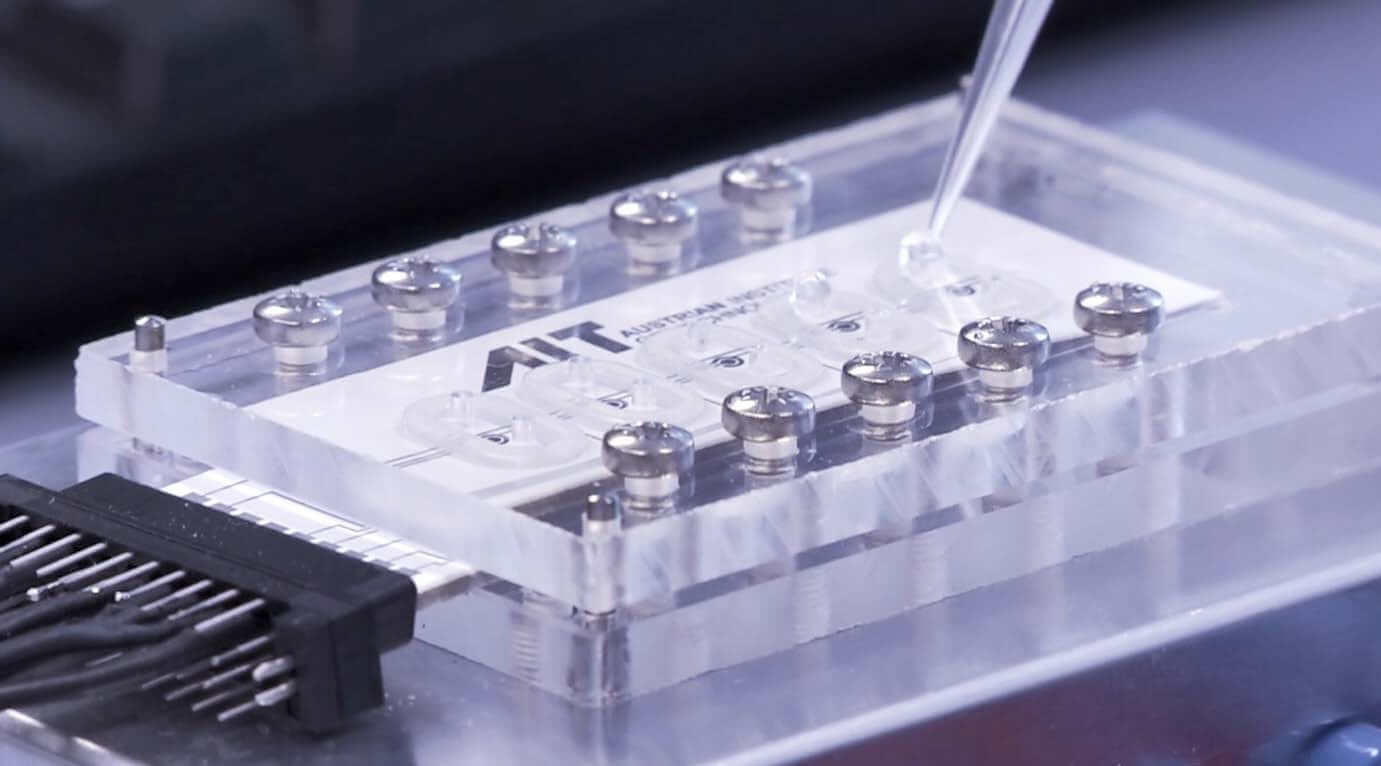 Molecular Diagnostics | Home