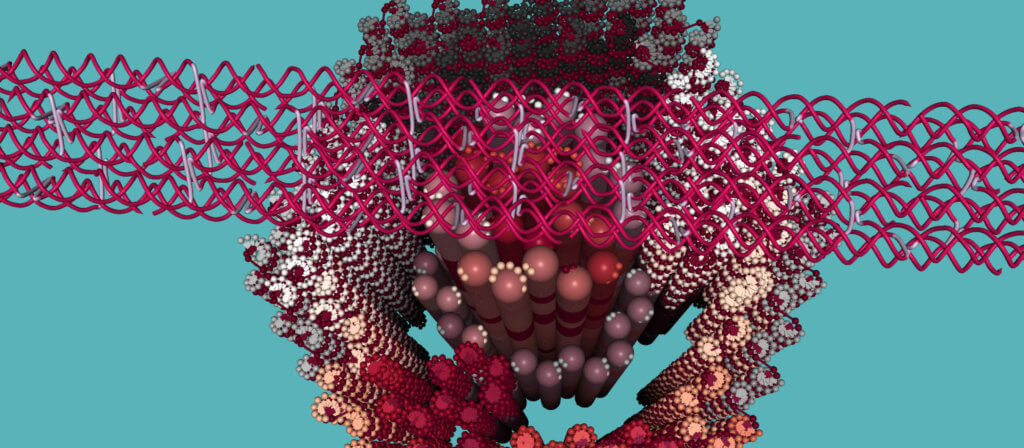 Molecular Diagnostics | DNA Nanotechnology