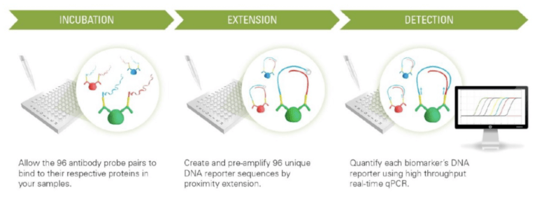 Molecular Diagnostics | Olink